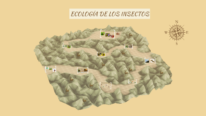 ECOLOGIA DE LOS INSECTOS by natii Quispe Torres on Prezi