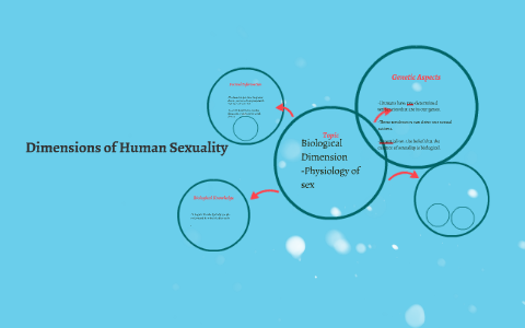 Dimensions of Human Sexuality by Stephen McCauley on Prezi