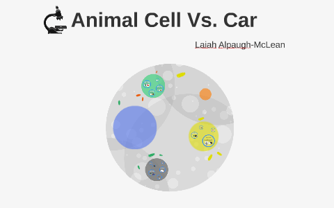 Animal Cell Vs. Car by Laiah alpaugh-McLean on Prezi