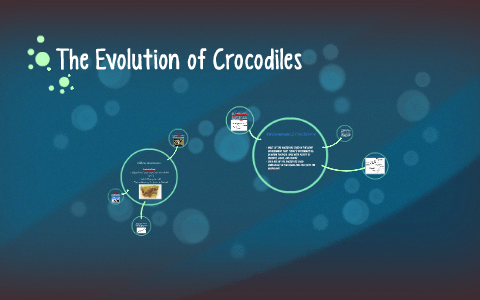 The Evolution of Crocodiles by brandie hudson on Prezi