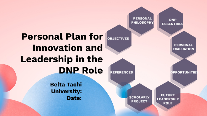 Personal Plan for Innovation and Leadership in the DNP Role by Beltta ...