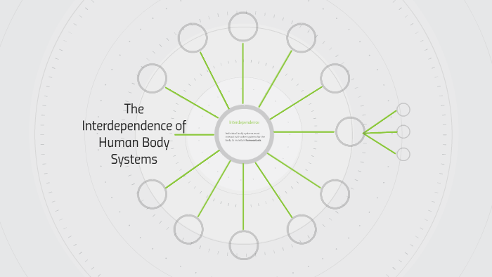 The Interdependence of Human Body Systems by David Digby on Prezi
