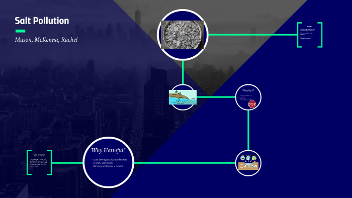 Salt Pollution by Rachel r on Prezi
