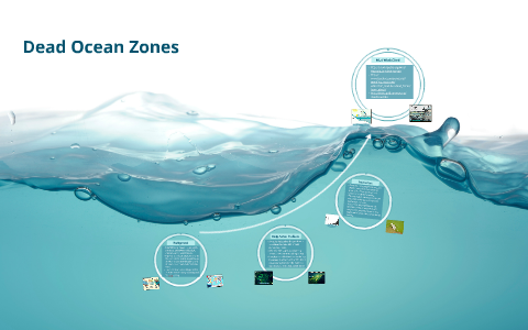 Dead Ocean Zones by Pablo Spitzer on Prezi