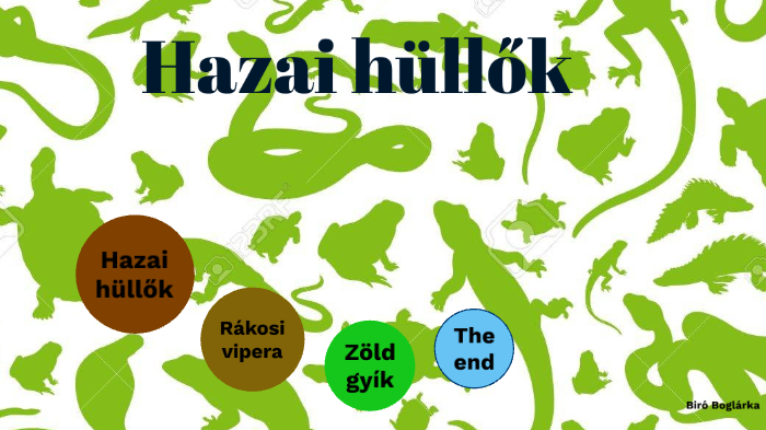 Hazai hüllők by Bogi Biró on Prezi