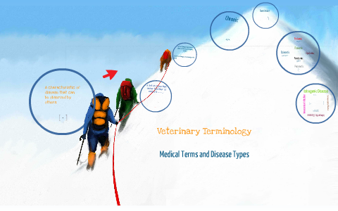 Veterinary Terminology VT9A Carrington College California by Lisa ...