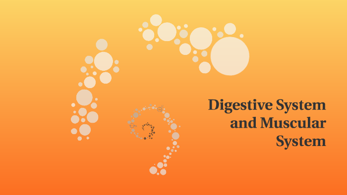 Digestive System and Muscular System by K G on Prezi