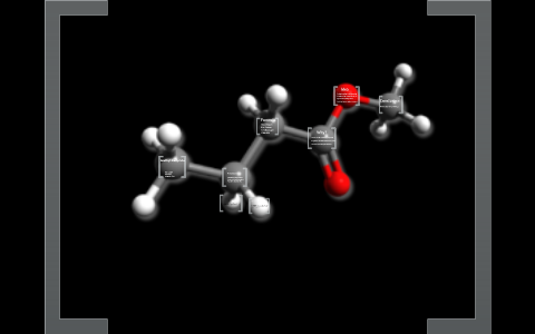 Methyl Butyrate by Joseph Kim on Prezi