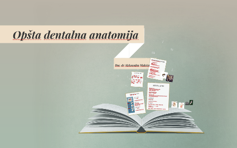 Opšta dentalna anatomija by Aleksandra Maletin on Prezi