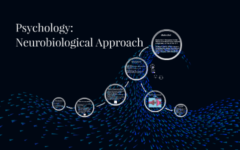 Neurobiological Approach Presentation by Timmy Briones on Prezi