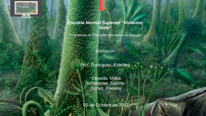 Evolución de los Reptiles by sabina schalpeter on Prezi