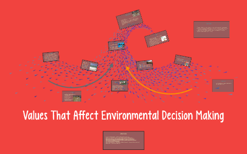 Values That Affect Environmental Decision Making by haley mcswain