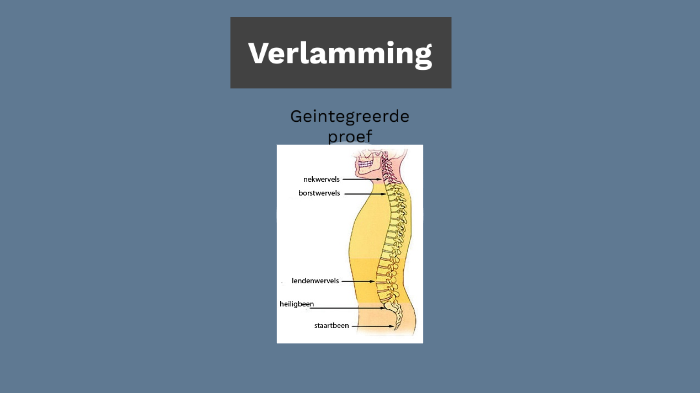 Verlamming by Guust Vanhove on Prezi