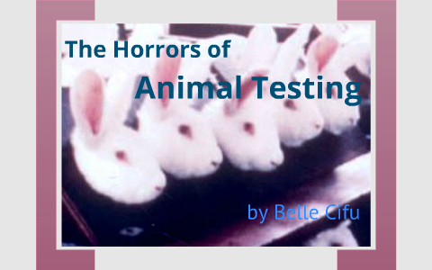 The Horrors of Animal Testing by Belle Cifu on Prezi