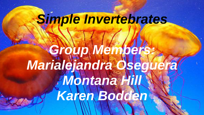 Simple Invertebrates by Karen Bodden on Prezi