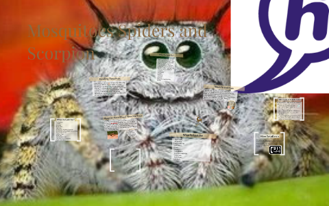 Mosquitoes Spiders and Scorpions by Barrett Sanderson on Prezi