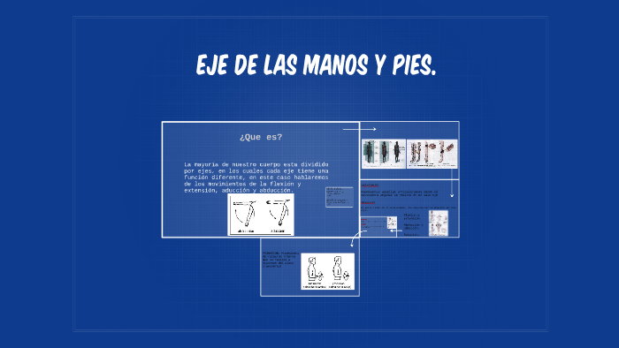 EJE DE LAS MANOS Y PIES. by zuri lopez on Prezi