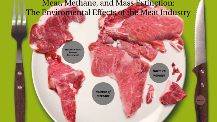 Meat, Methane, and Mass Extinction by Elizabeth Miller on Prezi