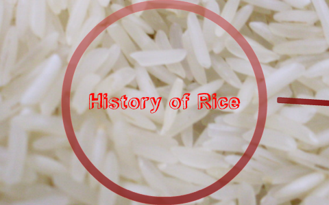 History of Rice by on Prezi