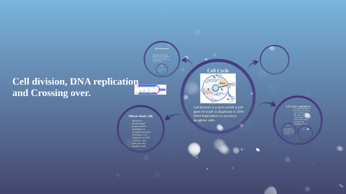 Cell division, DNA replication and Crossing over. by miguel vega on Prezi