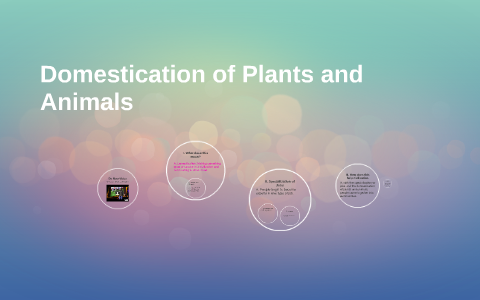 Domestication of Plants and Animals by A. Mathura on Prezi