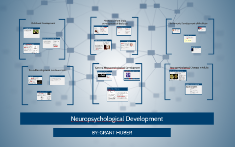 Neuropsychological Development Throughout the Lifespan by Grant Huber ...