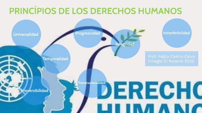 Principios de los derechos humanos by Pablo Castro on Prezi