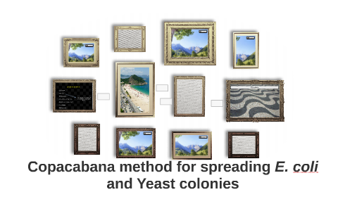 Copacabana method for spreading E. coli and Yeast colonies by Marcelo ...