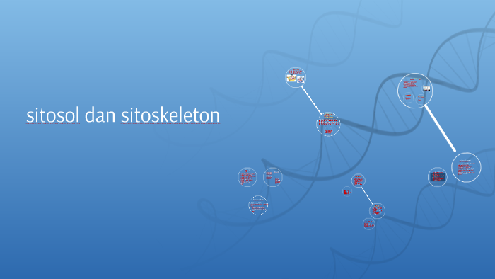 sitosol dan sitoskeleton by Fauzanah Nawal on Prezi