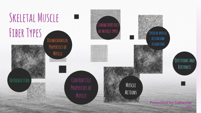Skeletal Muscle Fiber Types by Catherine Val on Prezi