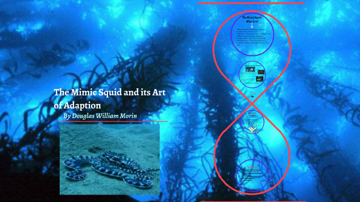The Mimic Squid and its art of Adaption by P.J Packers on Prezi