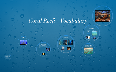 Coral Reefs- Vocabulary by on Prezi