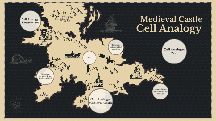Medieval Castle Cell Analogy by Aashir Imran - Erin Mills MS (1324) on ...