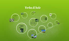 Yerba di hole by Elayah Gijsbertha on Prezi