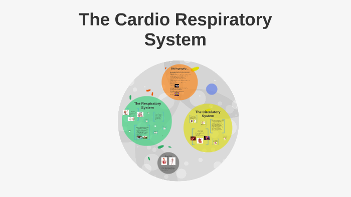 The Cardio Respiratory System by Liv Mauerhofer on Prezi