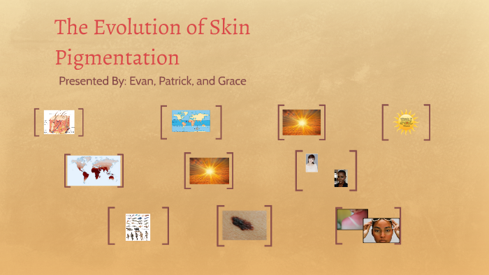 Evolution of Skin by Grace Dirig on Prezi