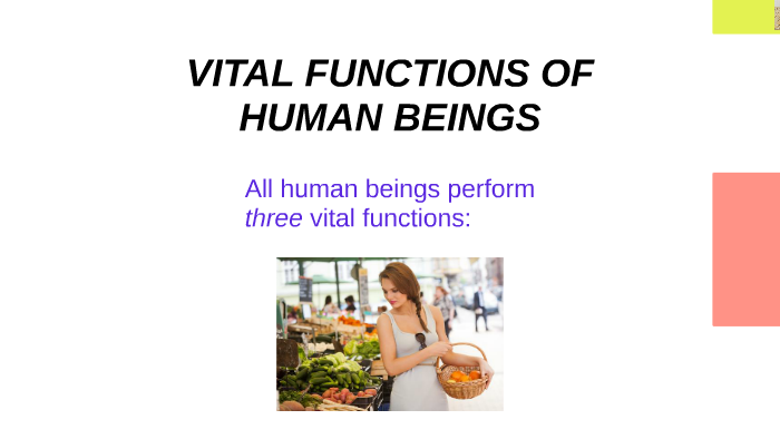 VITAL FUNCTIONS OF HUMAN BEINGS by Miriam Titz Puerta on Prezi