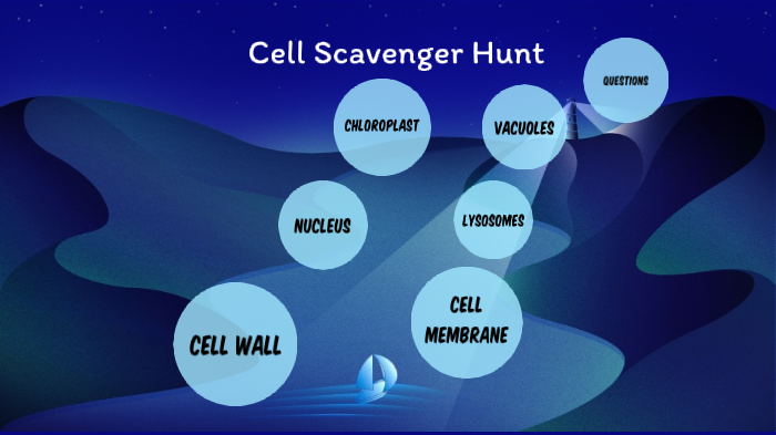 Cell Scavenger Hunt by Kayleigh Capistrano on Prezi