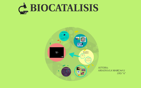 BIOCATALISIS by ariadna la marca on Prezi