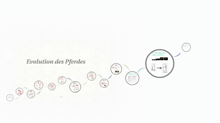 Evolution des Pferdes by Erva Karahan