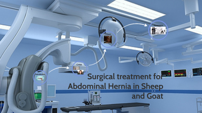 Surgical treatment for Abdominal Hernia in Sheep and Goat by naim mnnf ...