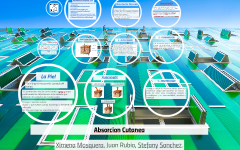 Absorcion Cutanea by juan david on Prezi