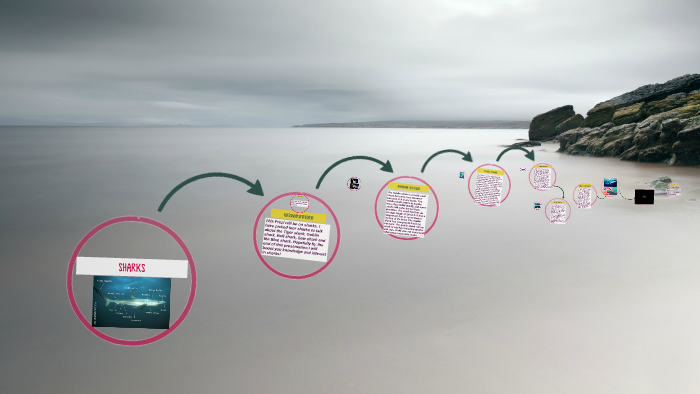 Sharks by Jake Rozario