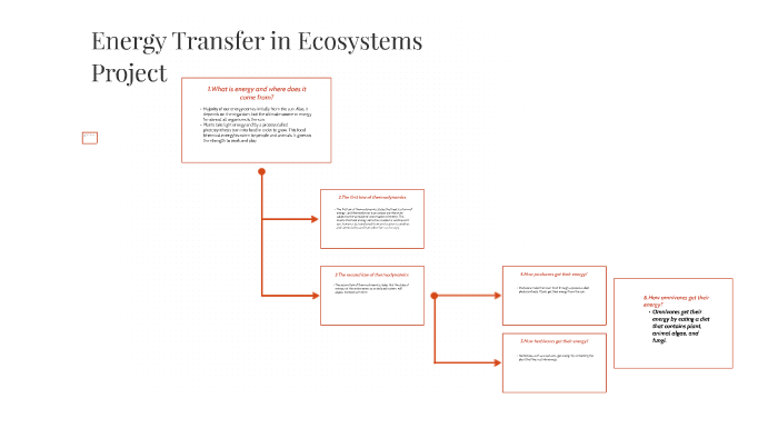 Energy Transfer in Ecosystems Project by Cor'Neesia Taylor