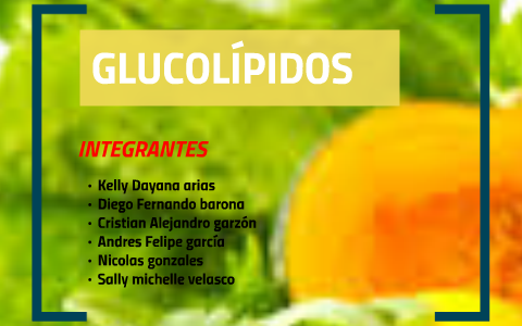 Glucolipidos by nicolas gonzalez on Prezi