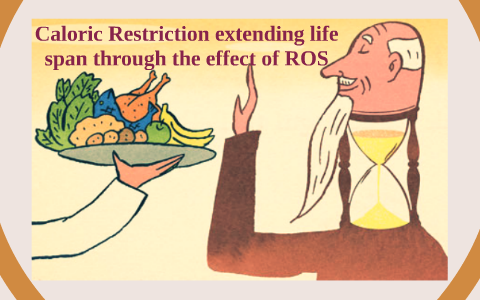 Caloric Restriction extending life span through the effect o by Jiaying ...