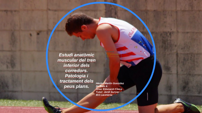 Estudi anatòmic muscular del tren inferior dels corredors. by Héctor ...
