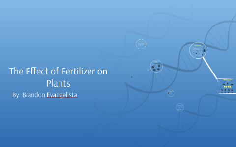 The Effect of Fertilizer on Plants by on Prezi