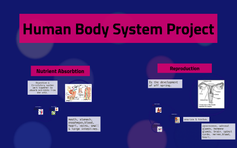 Human Body System Project by Journee Parker on Prezi
