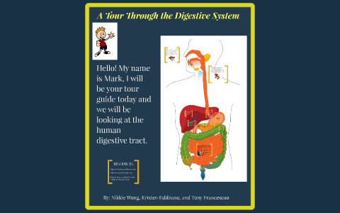 A tour through the digestive system by Nikkie Wong on Prezi